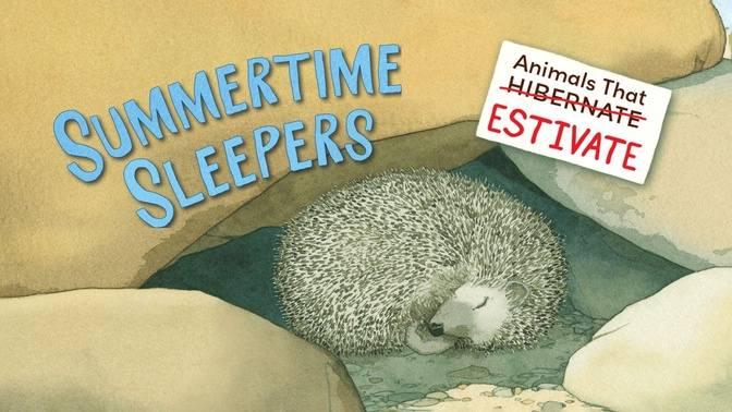 Watch Summertime Sleepers: Animals That Estivate | GJW+ | Gan Jing World