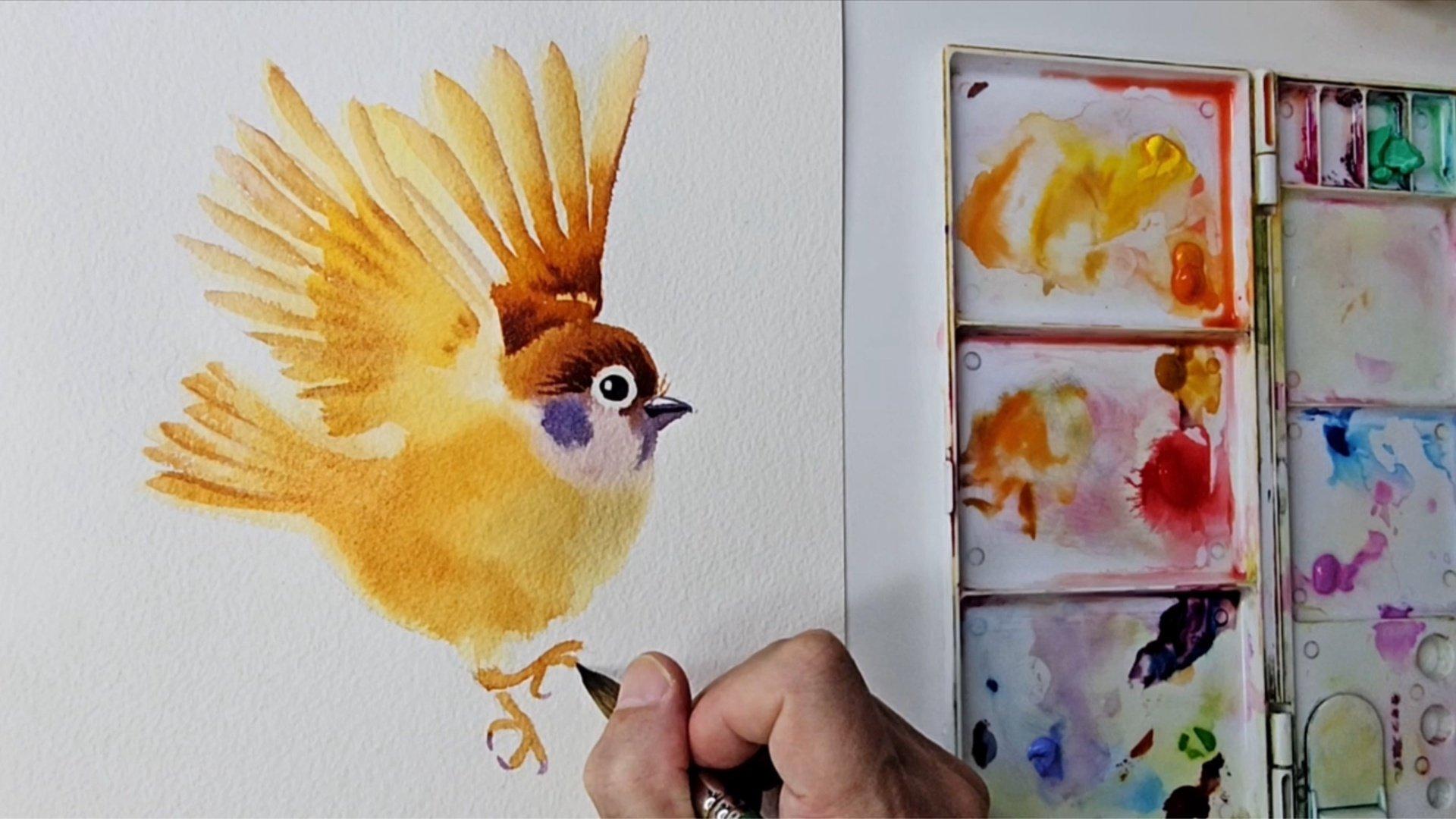 how to paint a cute sparrow with waterco | easy painting by Tony Lin ...
